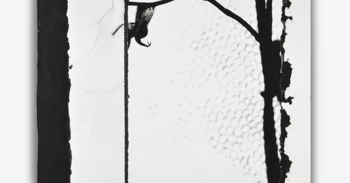 Ian McKeever at Royal Academy 'Summer Exhibition' | Hackelbury Fine Art